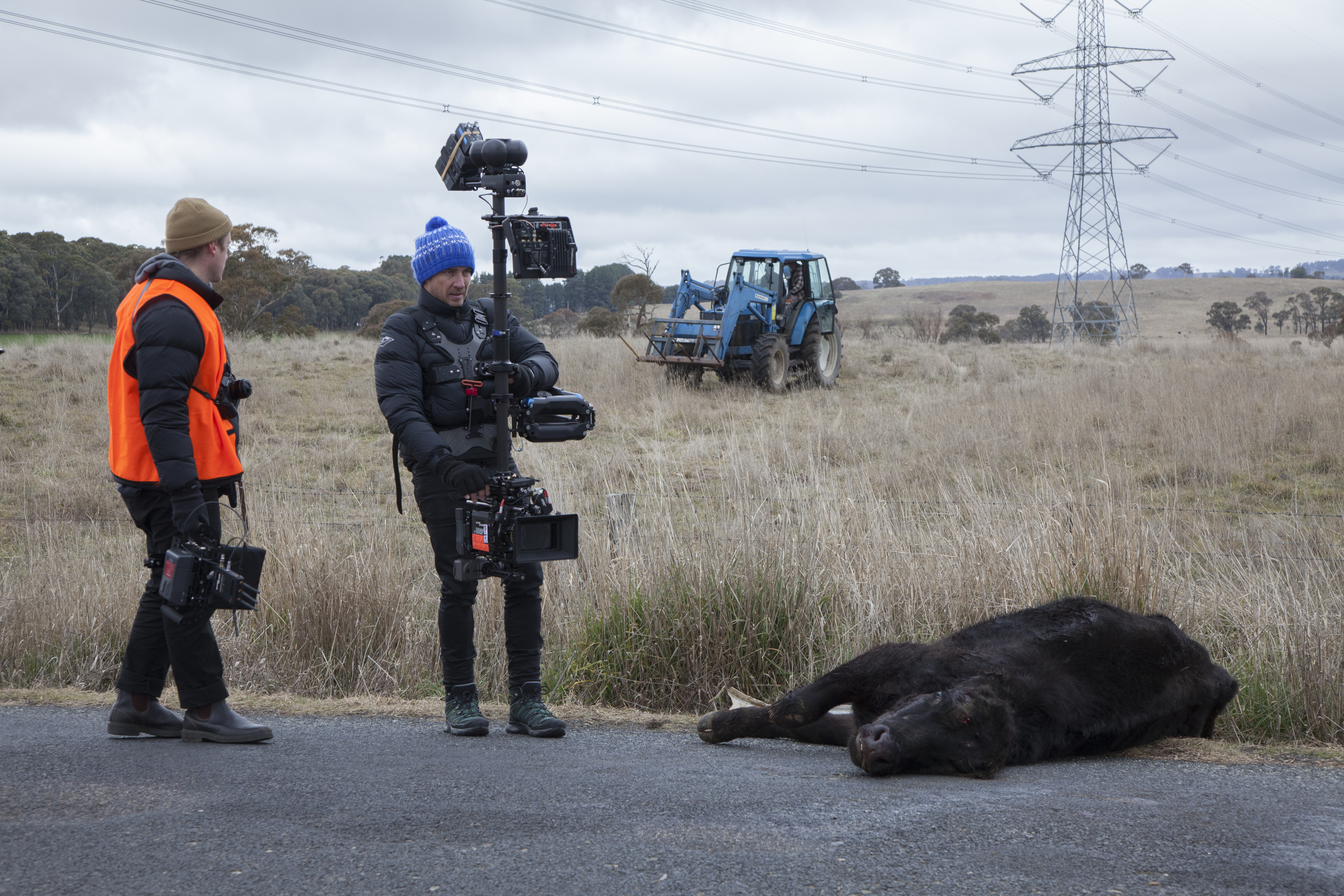 Staff Pick Premiere: "Nursery Rhymes" by Tom Noakes